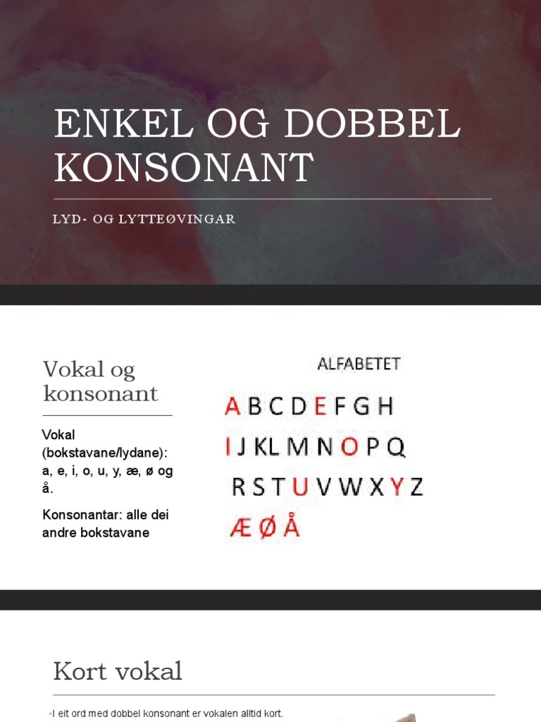 Enkel Og Dobbel Konsonant | PDF