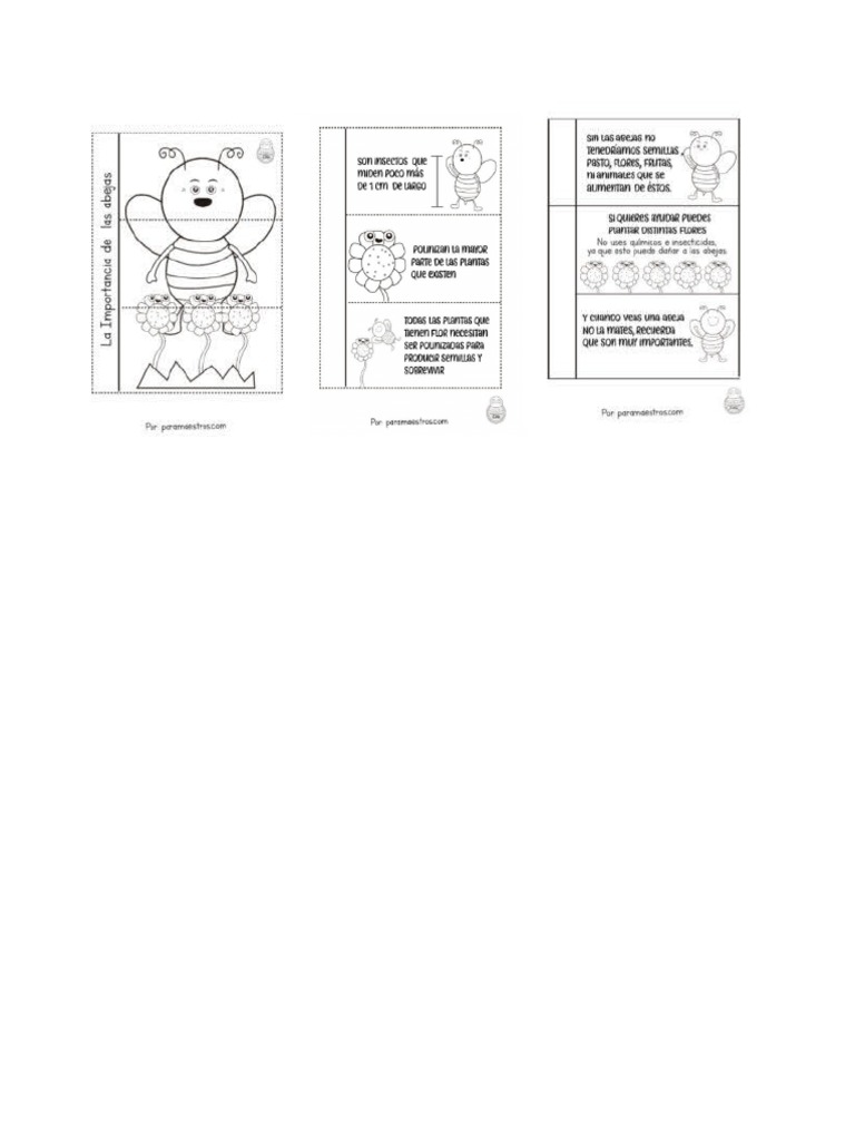 Libro Informativo de Las Abejas | PDF