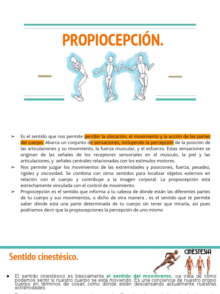Propiocepción. | PDF | Percepción | Ciencia cognitiva