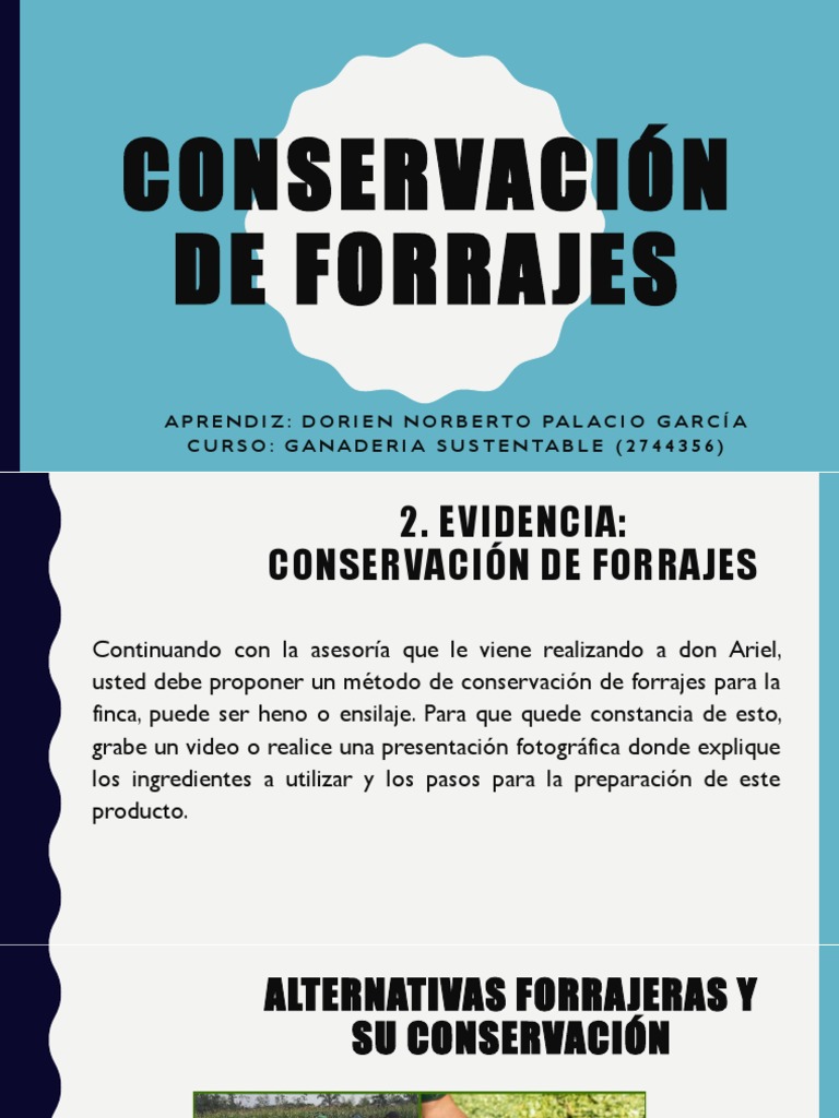 Conservación de Forrajes | PDF