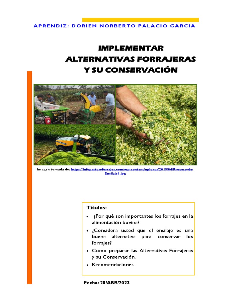 Conservación de Forrajes Bovinos | PDF | Agricultura | Nutrición