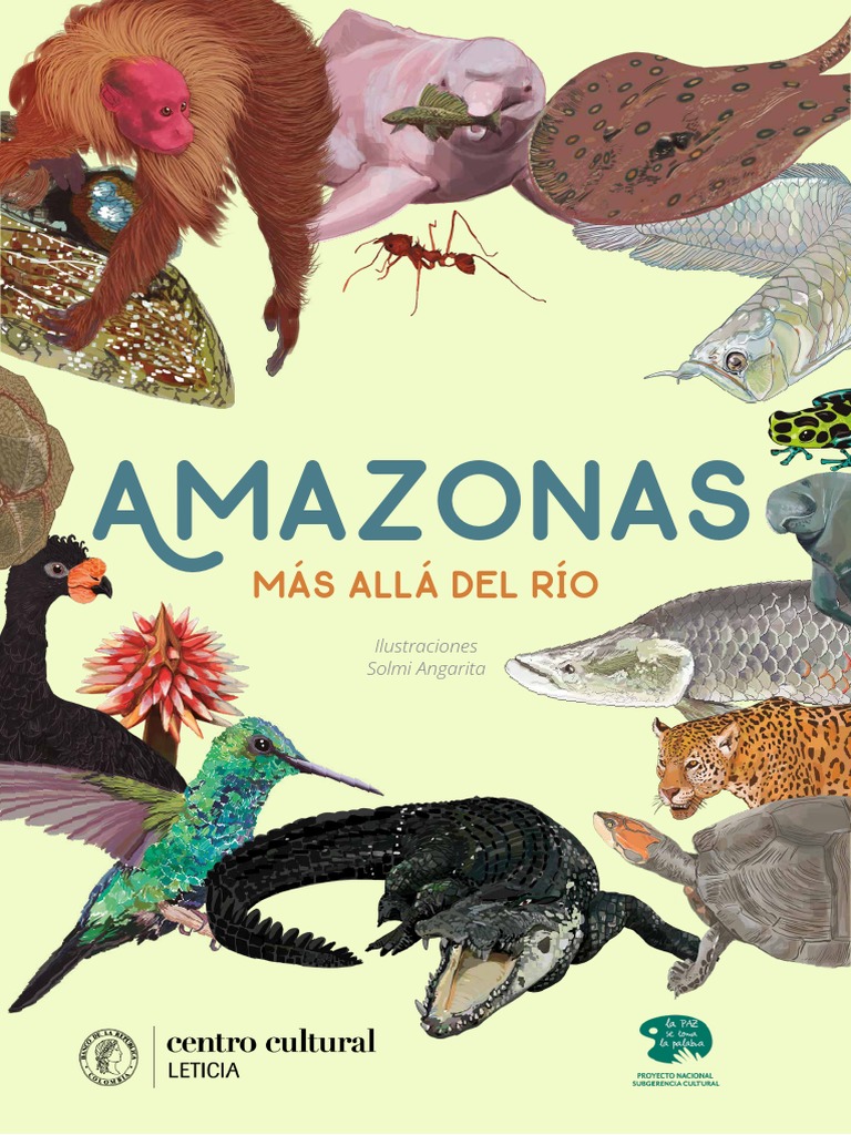 Amazonas Más Allá Del Río | PDF | Selva amazónica | Entorno natural