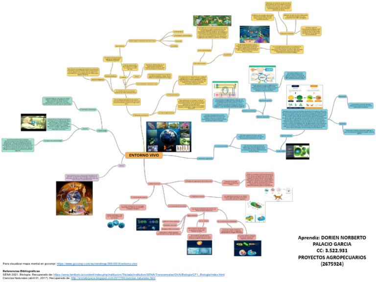 Mapa Mental Con Los Conceptos Básicos Del Entorno Vivo GA1-220201501 ...