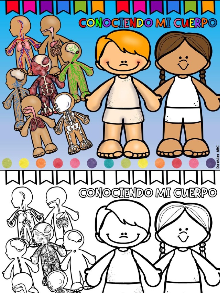 PLAN CONOCIENDO MI CUERPO Preescolar | Descargar gratis PDF ...