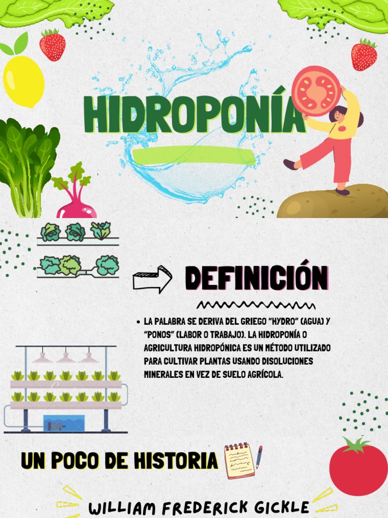 Hidroponia | Descargar gratis PDF | Hidroponia | Agricultura