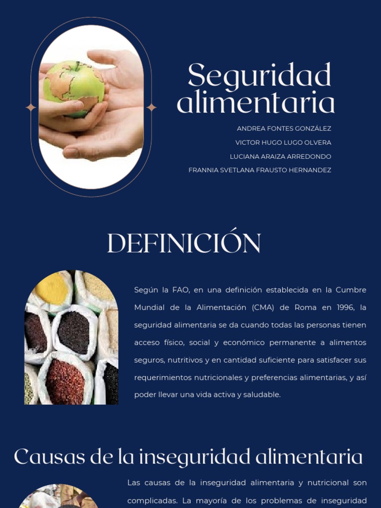 Seguridad Alimentaria PDF