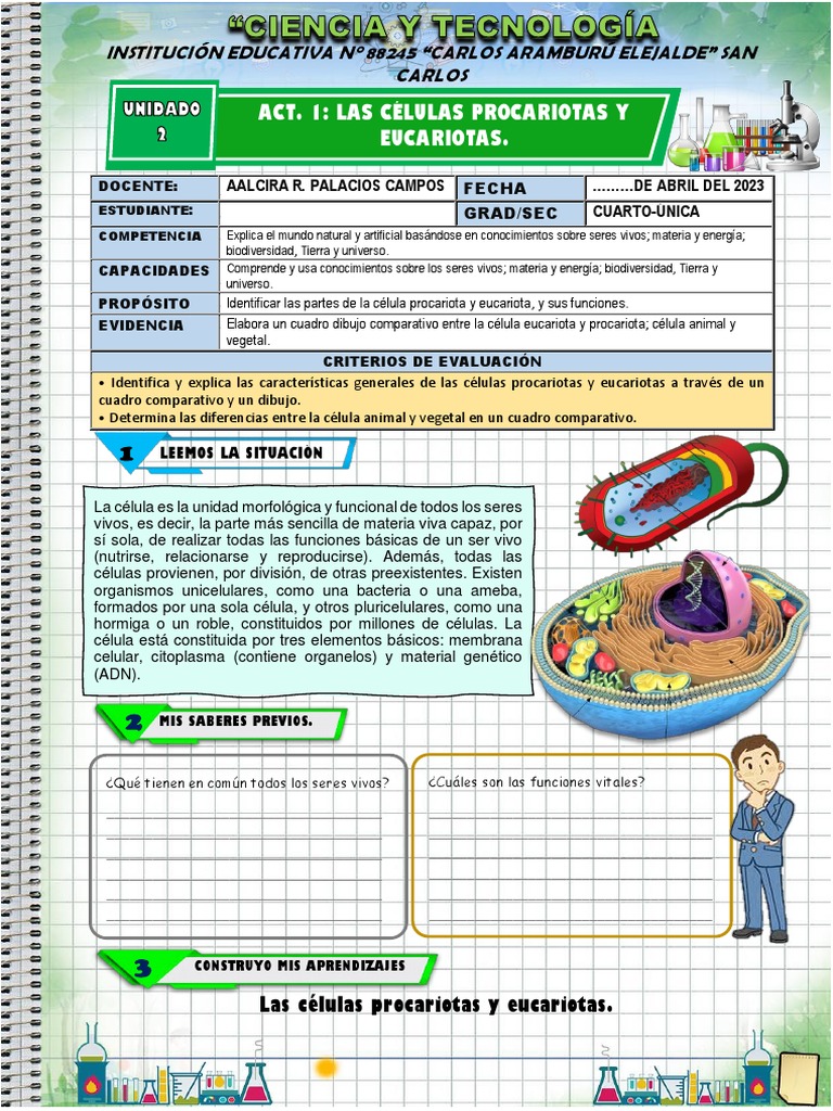 A-4º Act 1-Cyt-Und 2 - Sem 1 | PDF | Biología Celular) | Eucariotas