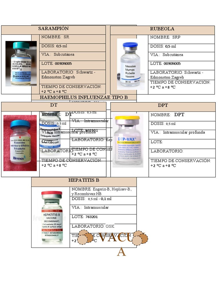 SARAMPIÓN | PDF | Salud infantil | Inyección (medicina)