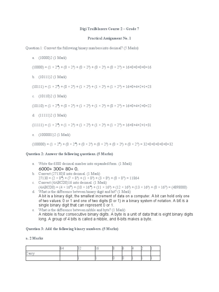 Digi Trailblazers Course 2 | PDF | Bit | Lexicology