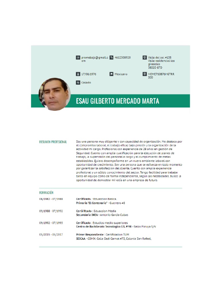 CV Esau Gilberto Mercado Marta | PDF