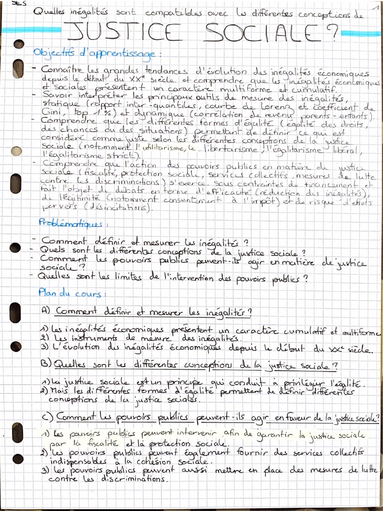 Fiches SES Terminales - La Justice Sociale | PDF