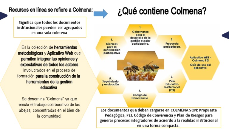 Colmena | PDF