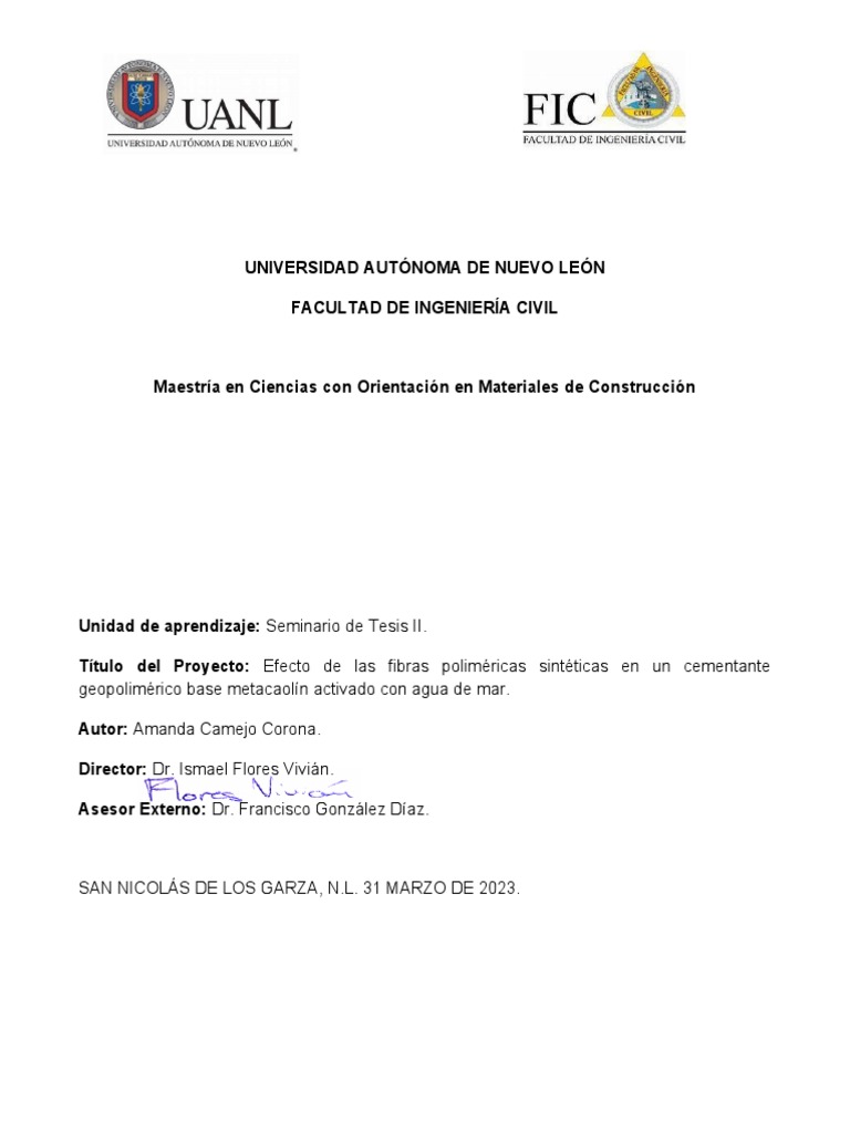 Seminario de Tesis II Amanda Camejo Corona - Removed | PDF