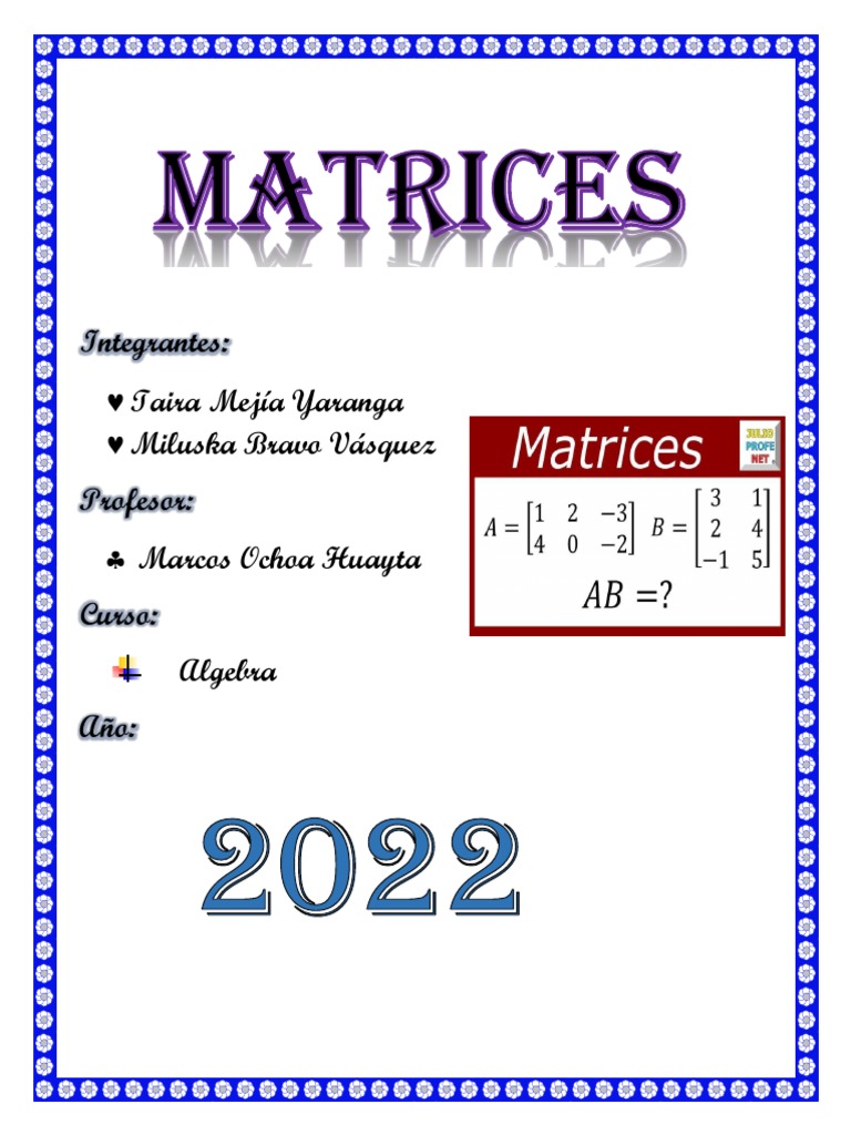 Introducción a las Matrices | PDF