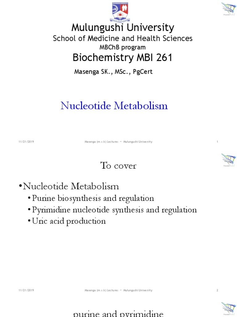 Nucleotide Metabolism Overview | PDF | Nucleotides | Biosynthesis