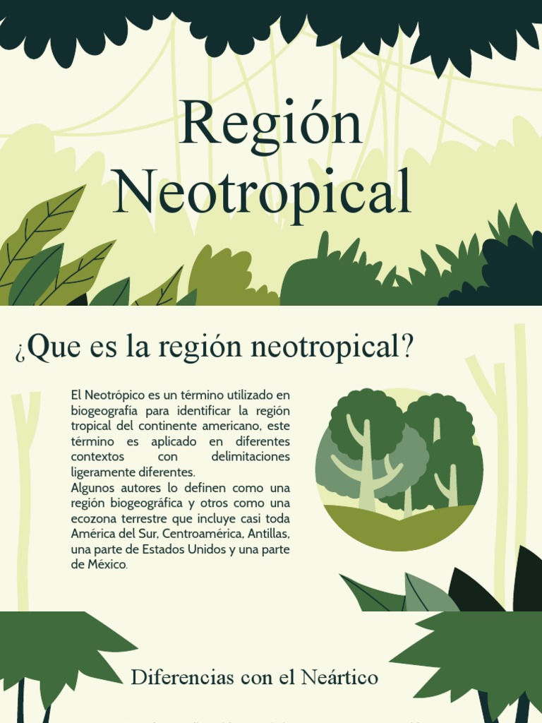 Region Neotropica | PDF | Biogeografia | Ciencias de la Tierra