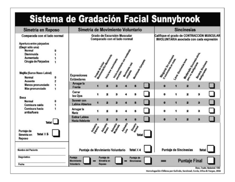 Escala de Sunnybrook | PDF