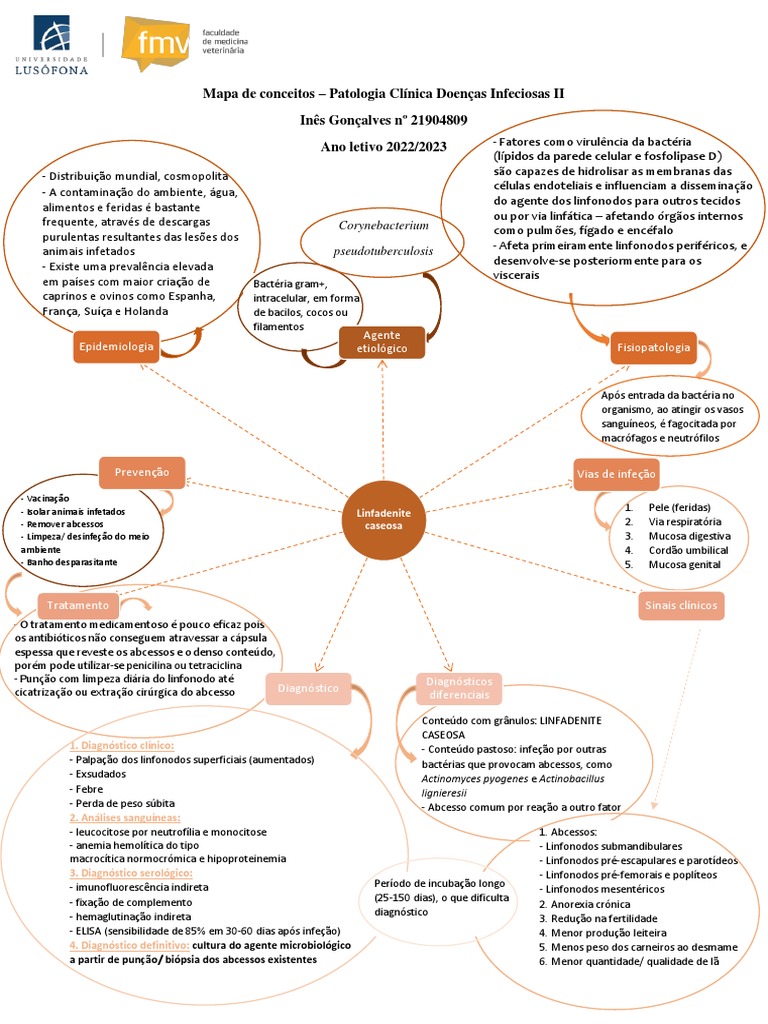 Mapa de Conceitos - Linfadenite Caseosa | PDF | Bactérias | Infecção