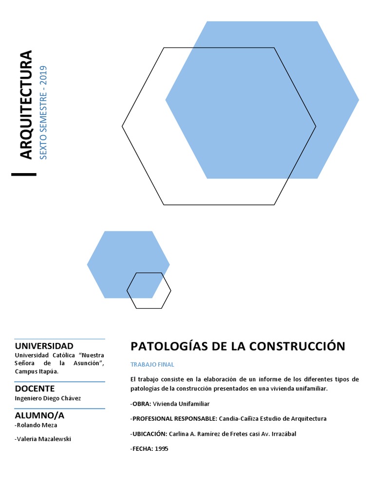 Patologias en Edificio | PDF | Albañilería | Ventana