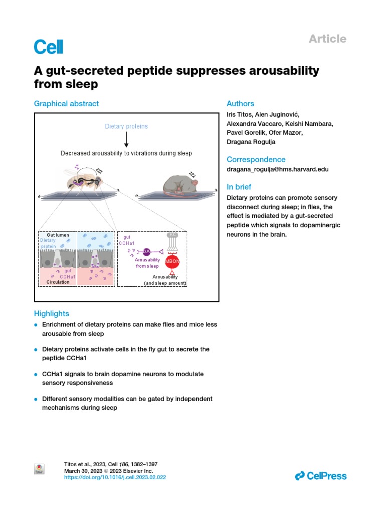 A Gut Secreted Peptide Suppresses Arousability Fro | PDF | Neuroscience ...