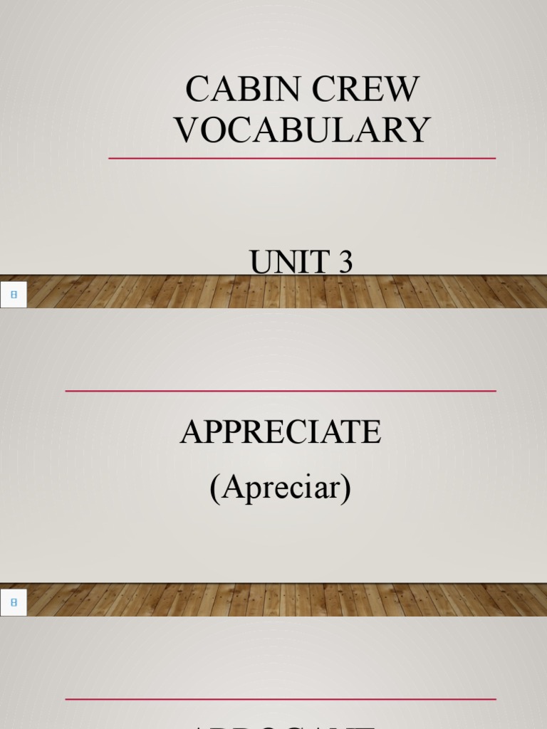 Cabin Crew Vocabulary Unit 3 | PDF