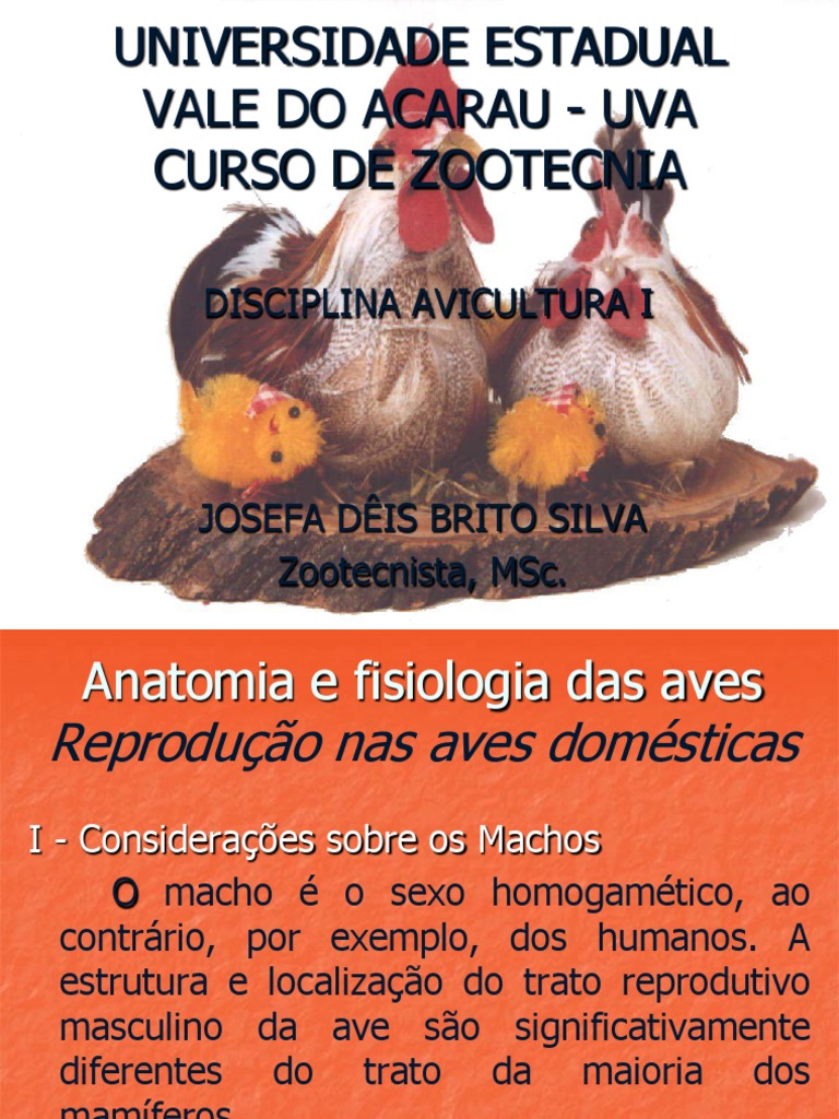 Anatomia Das Aves | PDF | Ovário | Digestão