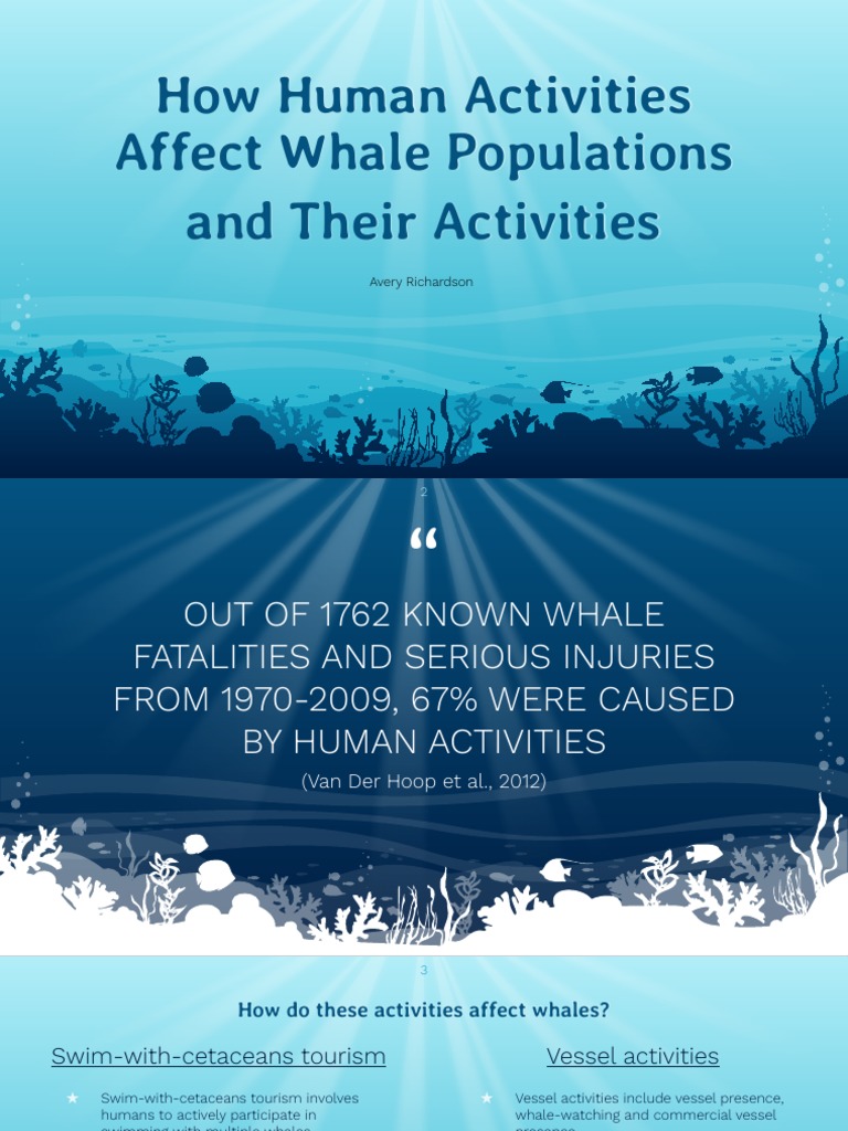 How Human Activities Affect Whale Populations and Their Activities ...