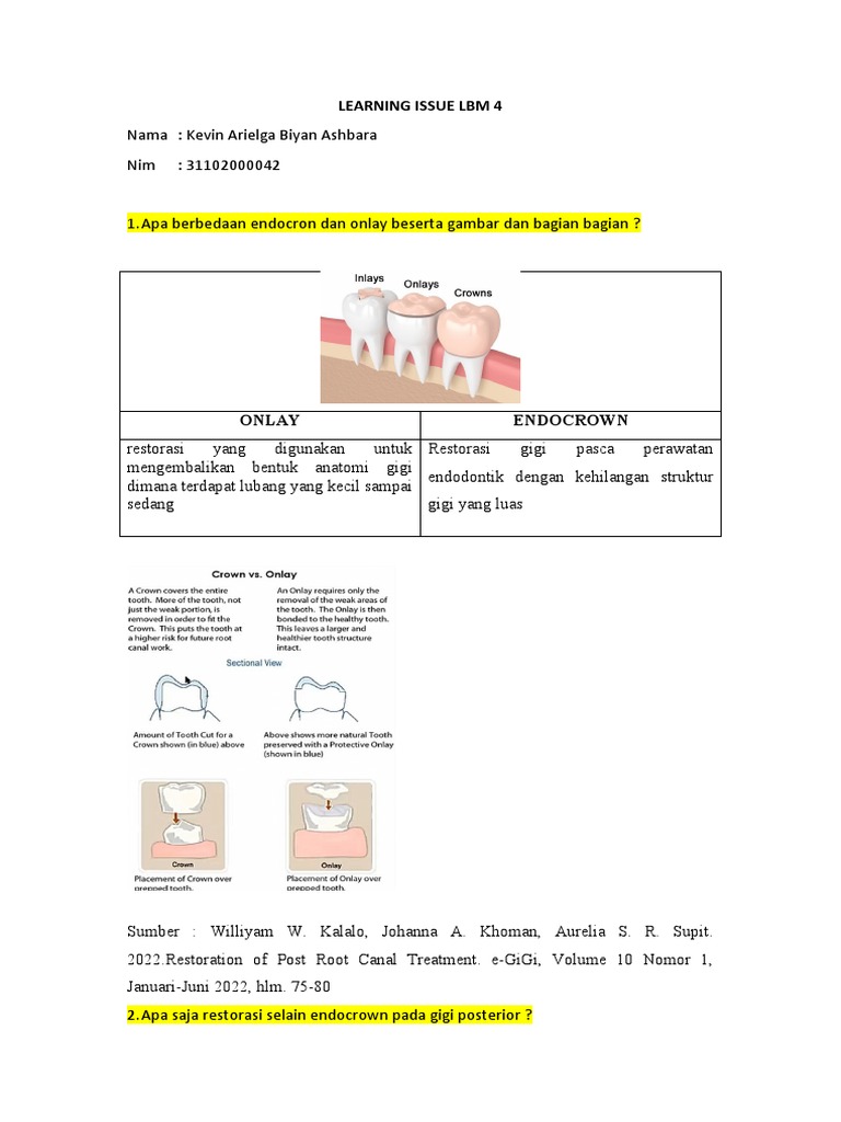 Learning Issue LBM 4 | PDF