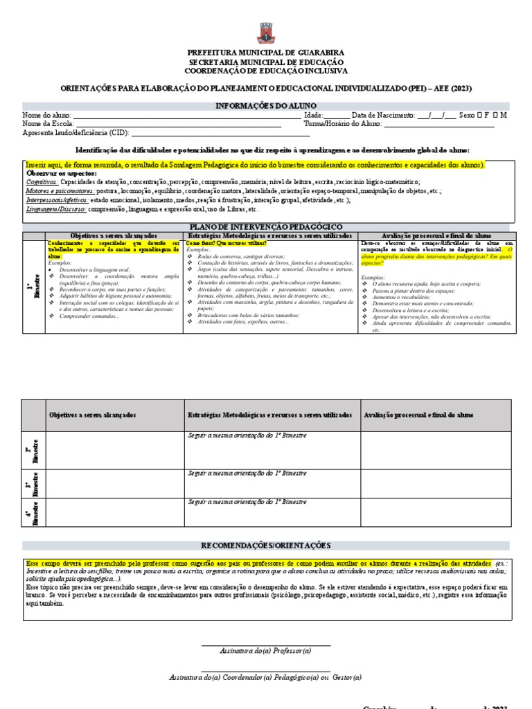 Modelo - Planejamento Educacional Individualizado (Pei) Aee - 2022 ...