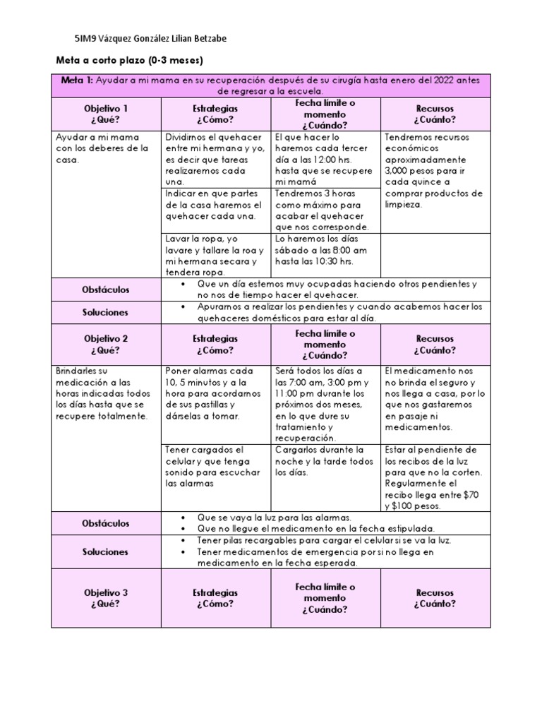 Tablas - Metas A Corto, Mediano y Largo Plazo | PDF