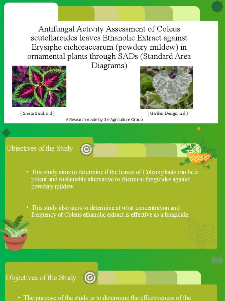 Ec Science Presentation Unit 4 FINAL (1) (Repaired) | PDF | Sulfur | Fungicide