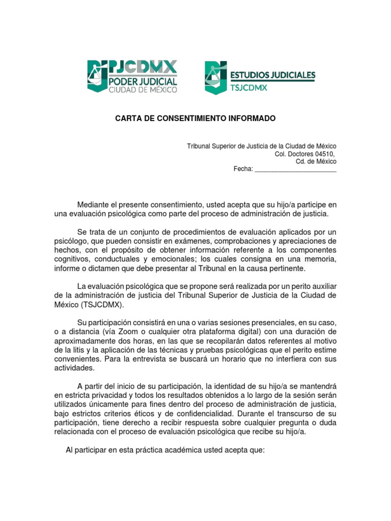 Carta de Consentimiento Informado | PDF