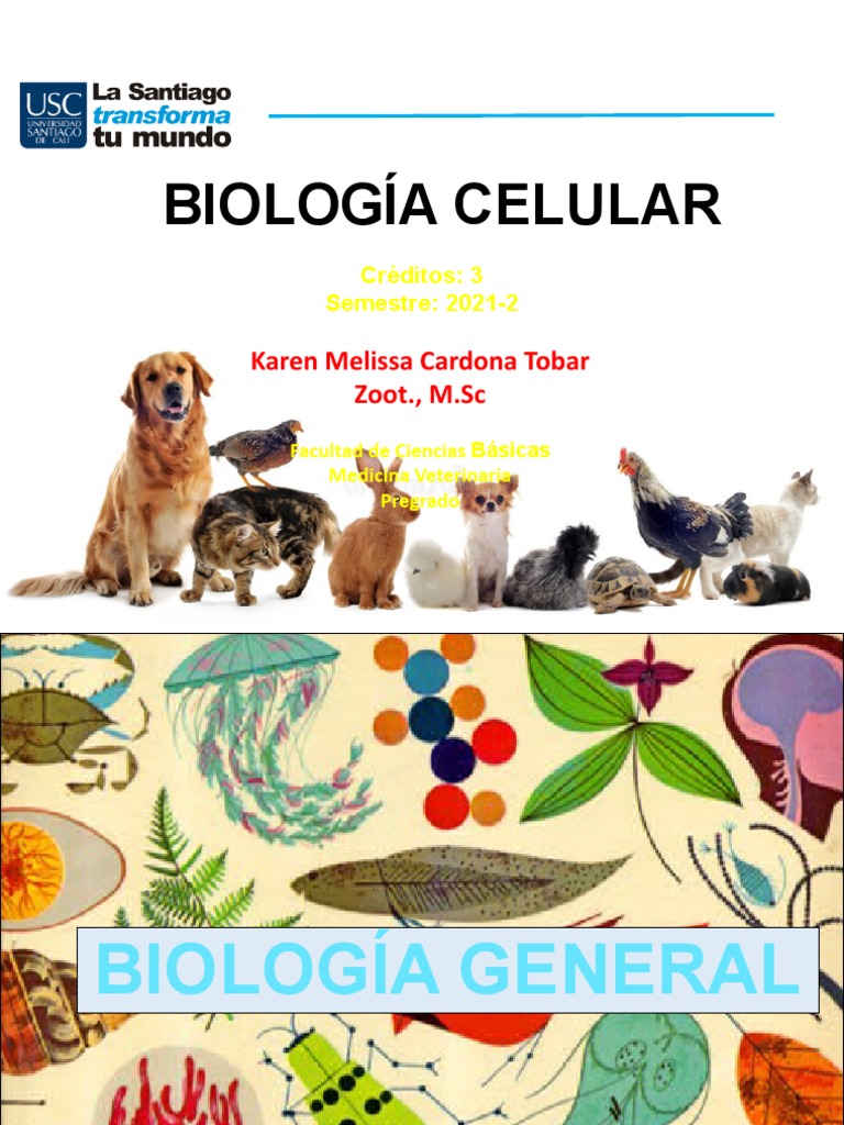 Introducción a la Biología Celular | PDF | Biología Celular) | Organismos