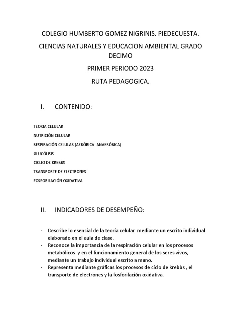 Ruta Verdadera Decimo Primer Periodo 2023 | PDF