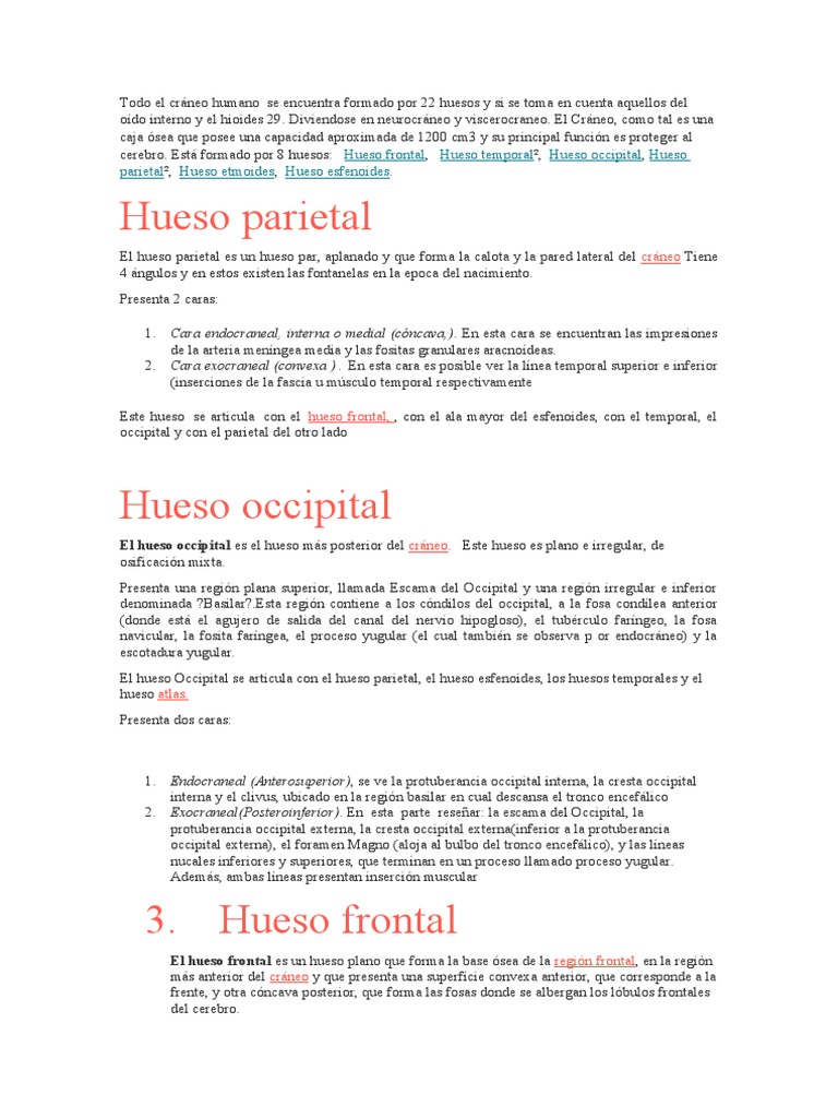Huesos Del Craneo Pdf Cráneo Anatomía Humana