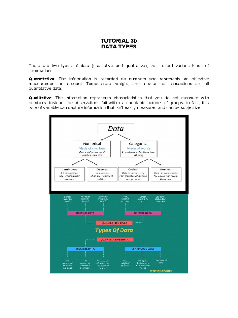 Tutorial 3b - Data Types 1 | PDF | Categorical Variable | Data