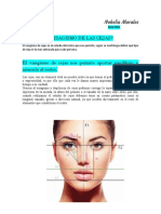 Rostro Rectangular | PDF | Cara | Pelo
