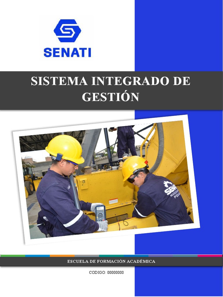 Sistema Integrado De Gestión Pdf