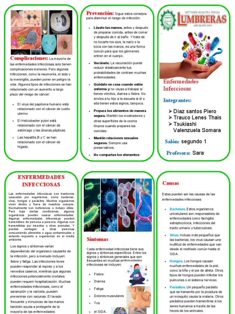 Triptico Enfermedades Infecciosas | PDF | Infección | Ciencias de la Salud