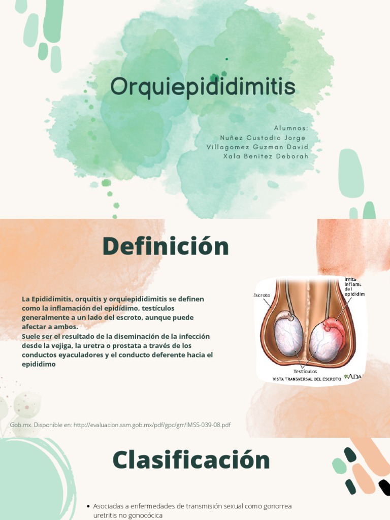 ORQUIEPIDIDIMITIS | PDF | Inmunología | Causas de la muerte