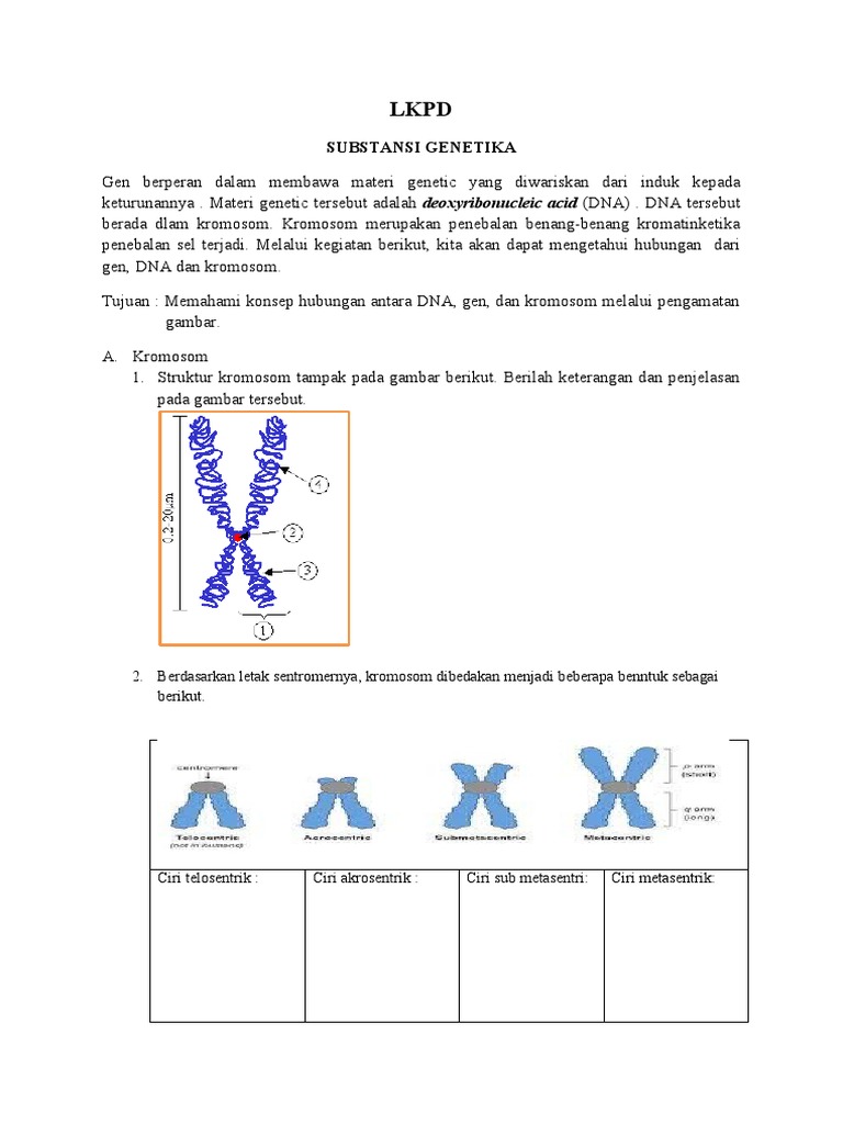 LKPD Substansi Genetika | PDF | Sains & Matematika