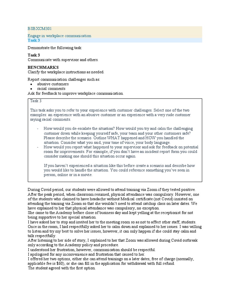 BSBXCM301 - Performance Task 3 | PDF