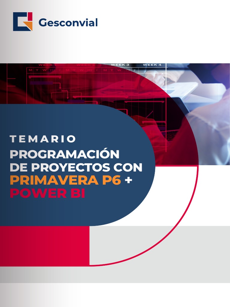 Temario - Programación y Control de Proyectos Con Primavera P6 + Power ...