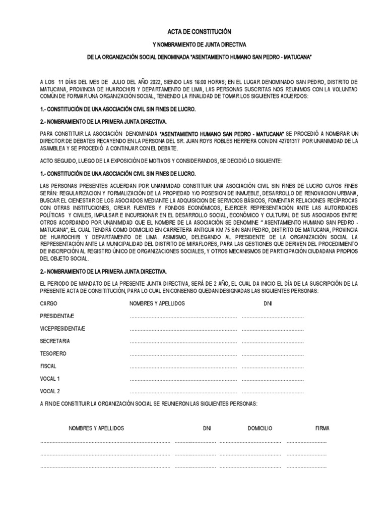 Modelo Acta de Constitución RUOS | PDF