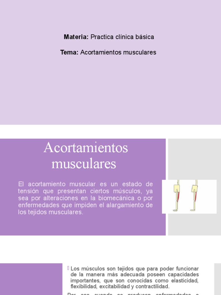 Acortamientos Musculares | PDF | Músculo | Medicina