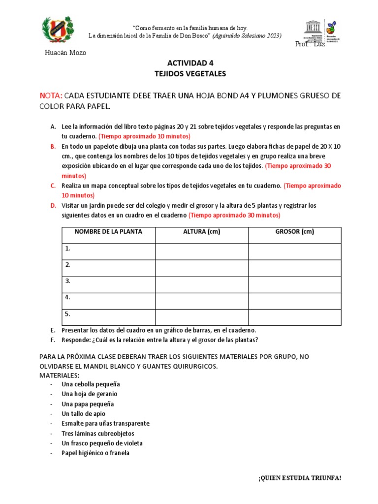 Actividad 4 | PDF | Ciencias sociales | Estudios de idiomas extranjeros