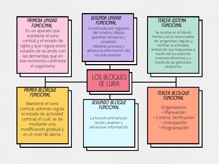 Los Bloques de Luria | PDF