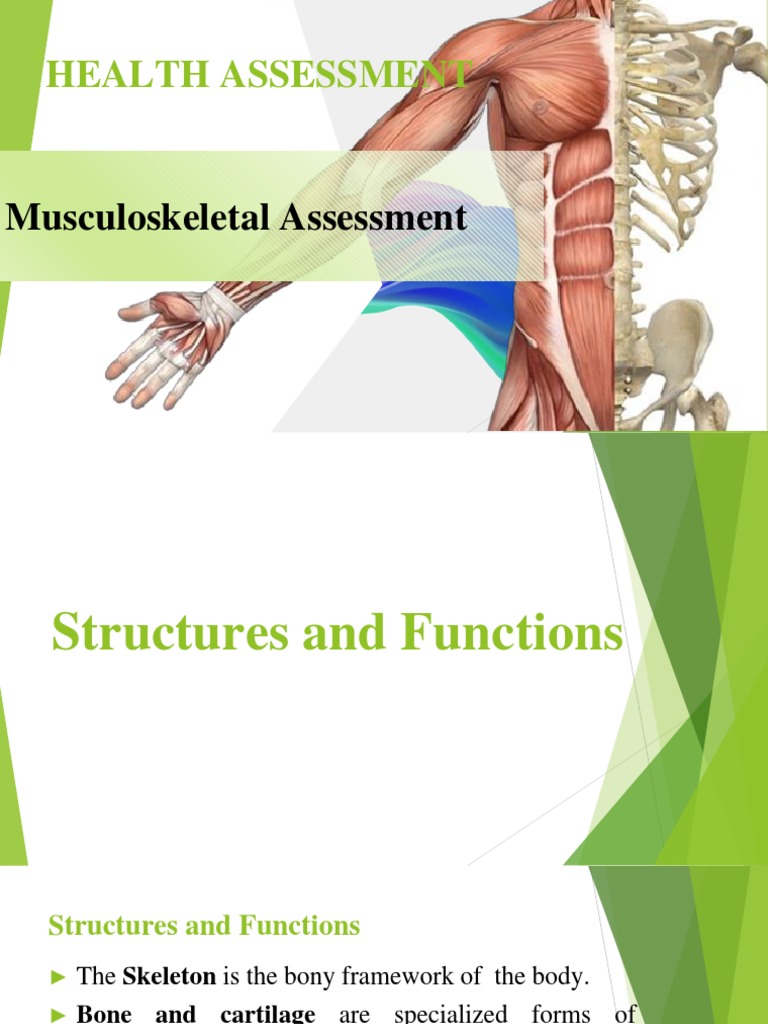 Week 13 Musculoskeletal Assessment | Download Free PDF | Knee ...