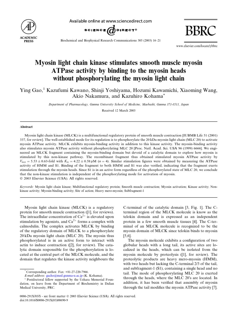 Myosin light chain kinase stimulates smooth muscle myosin ATPase ...