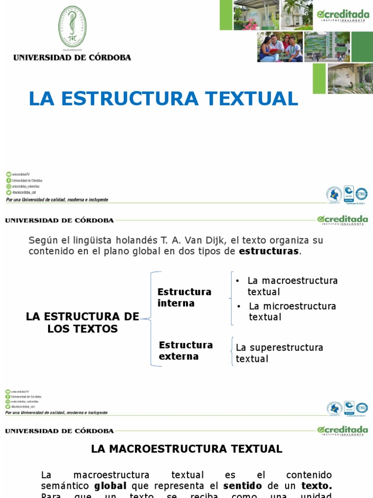 Estructura Del Texto | PDF | Comunicación humana | Lingüística